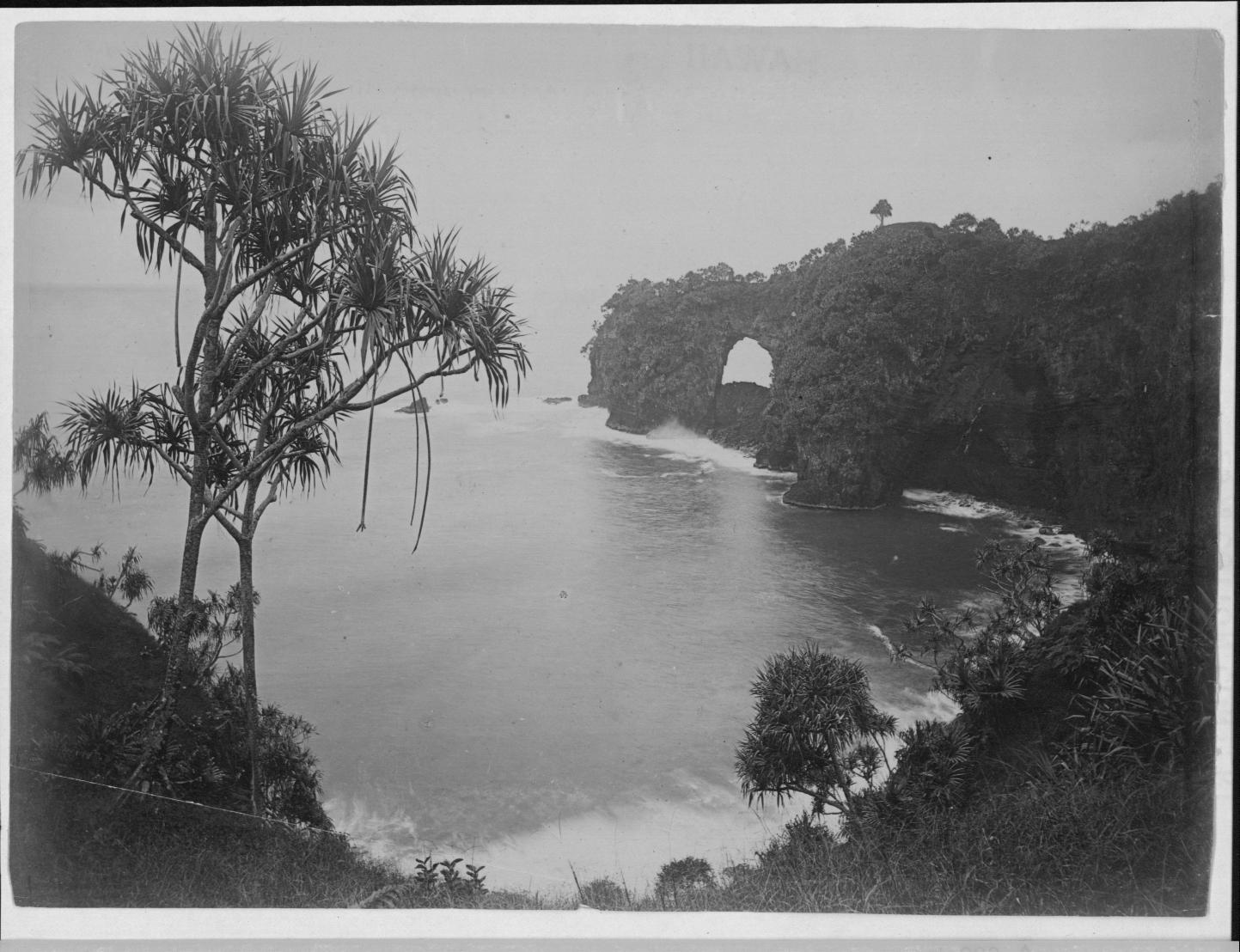 Browse Catalog - Digital Archives of Hawaiʻi