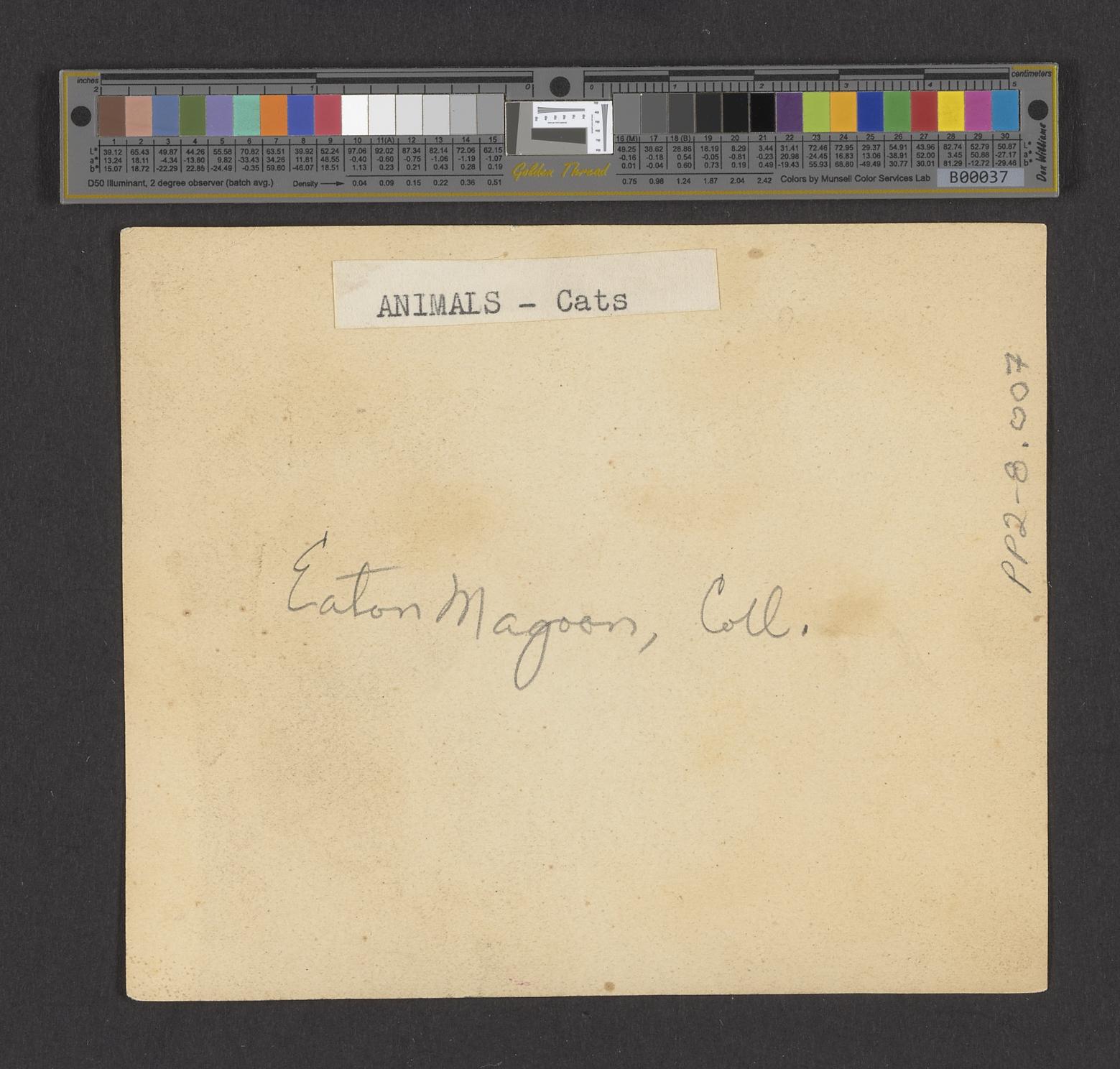 Browse Catalog - Digital Archives of Hawaiʻi