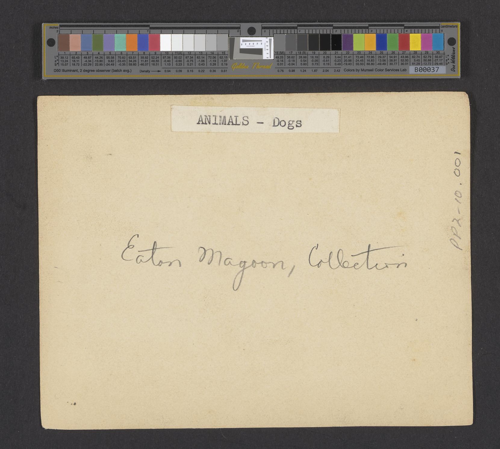 Browse Catalog - Digital Archives of Hawaiʻi