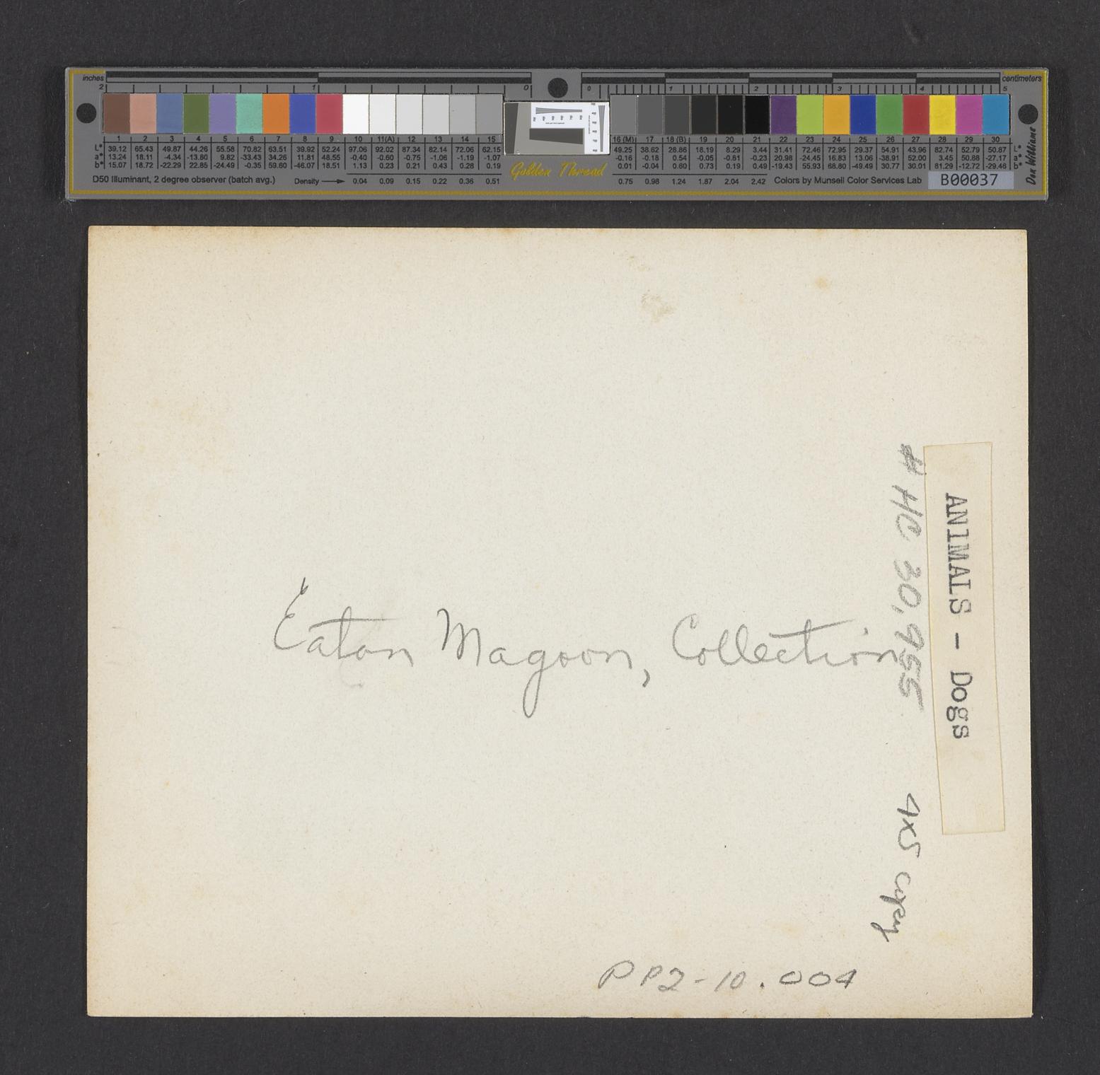 Browse Catalog - Digital Archives of Hawaiʻi