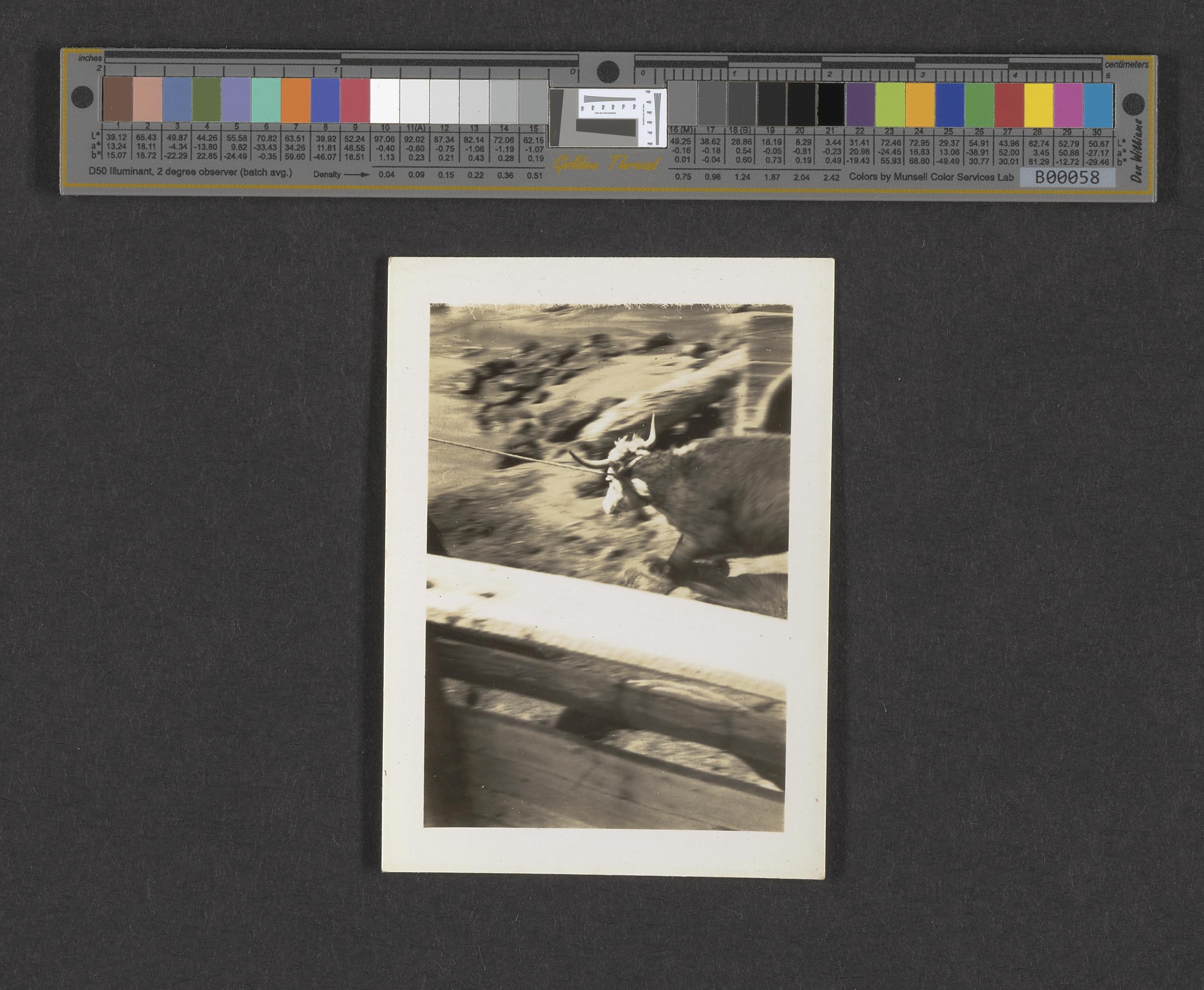 Browse Catalog - Digital Archives of Hawaiʻi