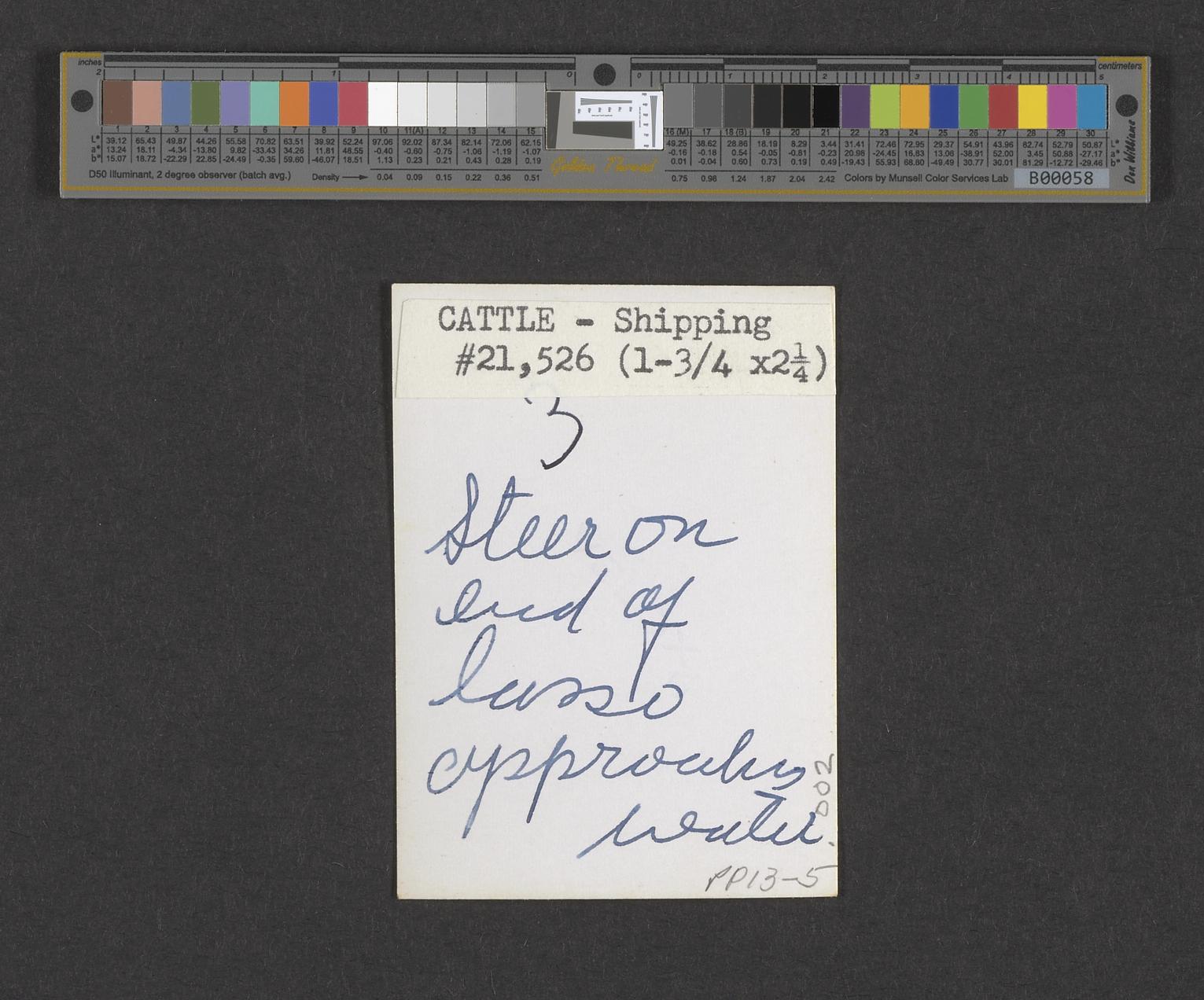 Browse Catalog - Digital Archives of Hawaiʻi