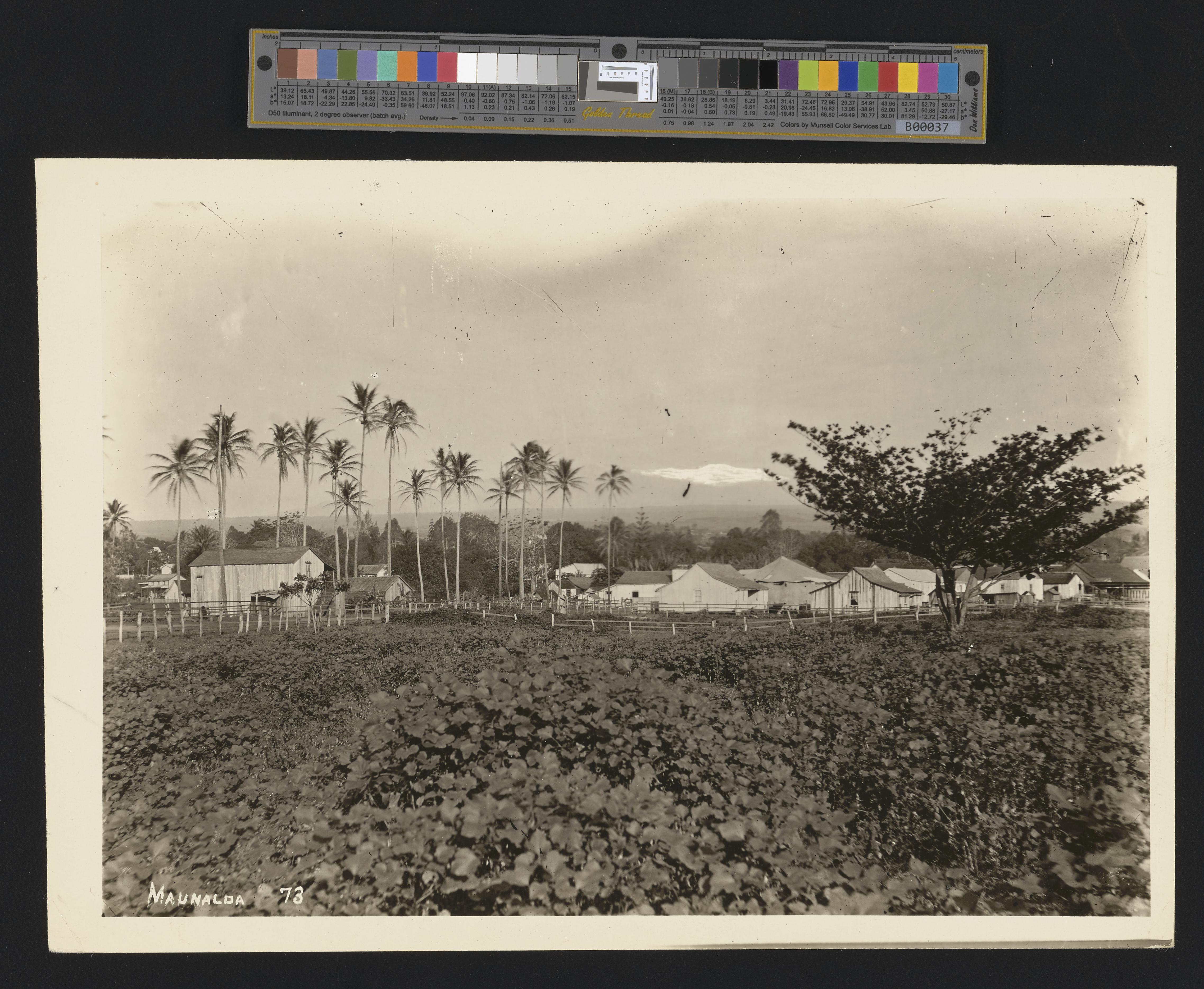 Browse Catalog - Digital Archives of Hawaiʻi
