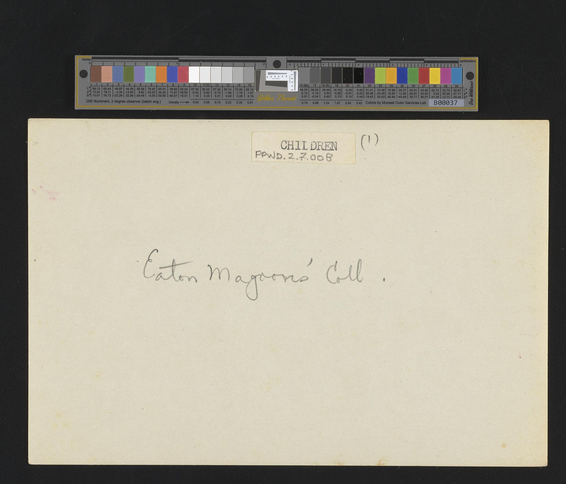 Browse Catalog - Digital Archives of Hawaiʻi