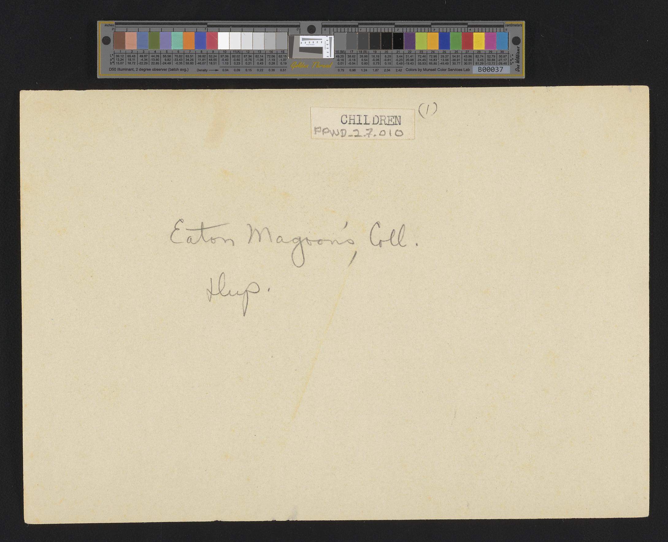 Browse Catalog - Digital Archives of Hawaiʻi