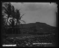 Browse Catalog - Digital Archives of Hawaiʻi