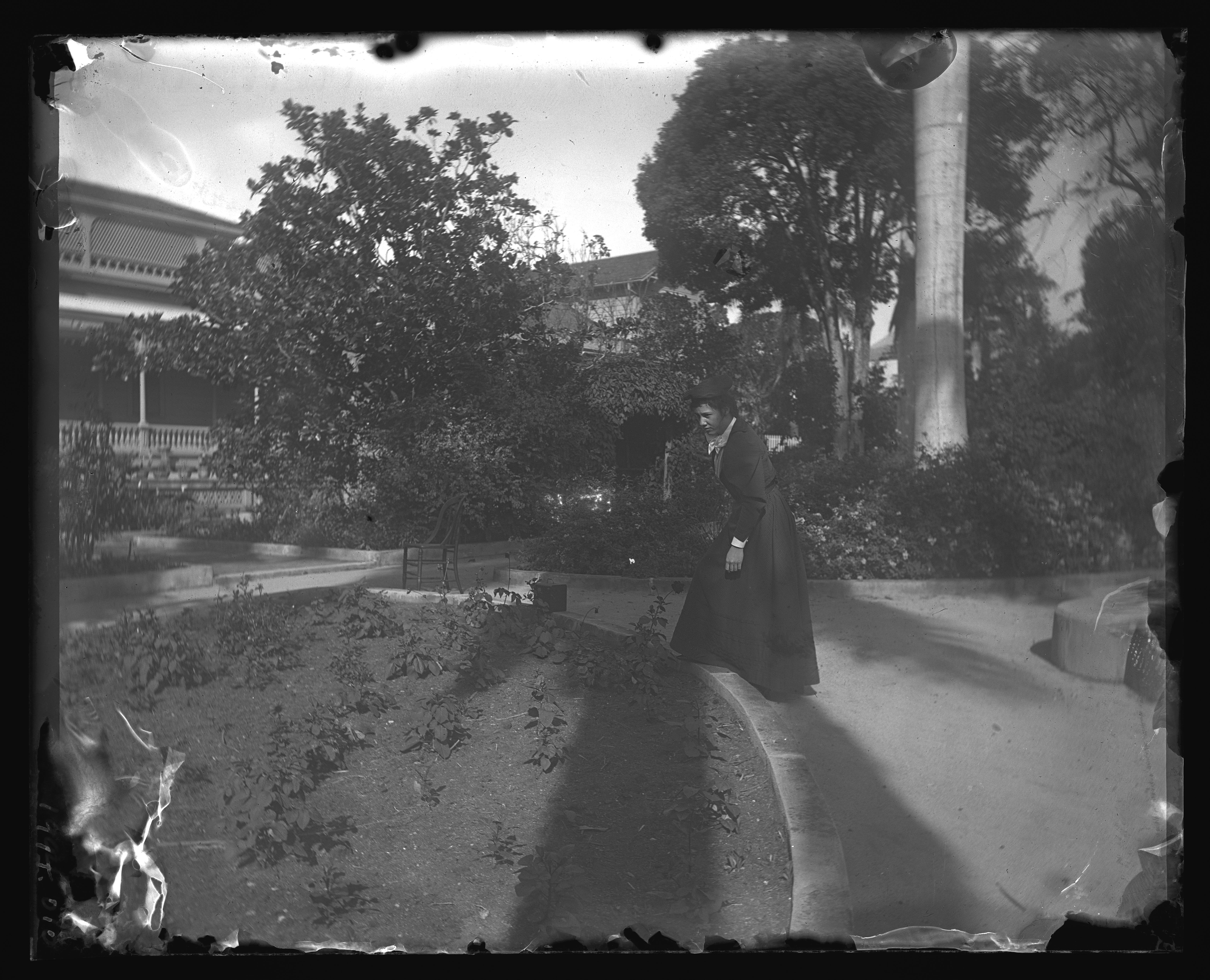 Browse Catalog - Digital Archives of Hawaiʻi